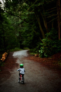 How to Find Ladybug Colonies in Oakland's Reinhardt Redwood Regional ...