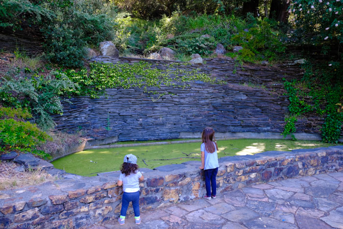 Joaquin Miller Park Has Some of the Best Views (& Lizards) in East Bay - 510 Families