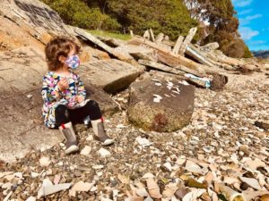 Unusual TEPCO Beach in Richmond is Full of Riches - 510 Families