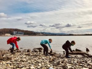 Unusual TEPCO Beach in Richmond is Full of Riches - 510 Families