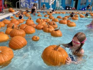 10 Unique Floating Pumpkin Patches - 510 Families