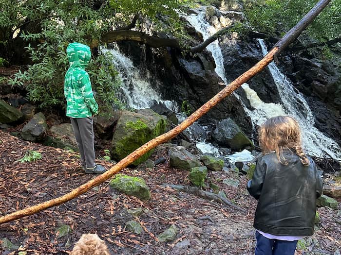 17 Toddler-Friendly Hikes in the East Bay - 510 Families