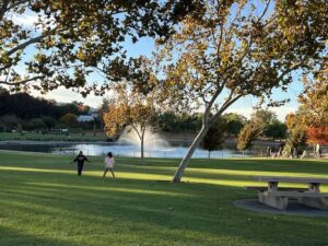 Worth the Drive: Heather Farm Park & Playground in Walnut Creek - 510 ...