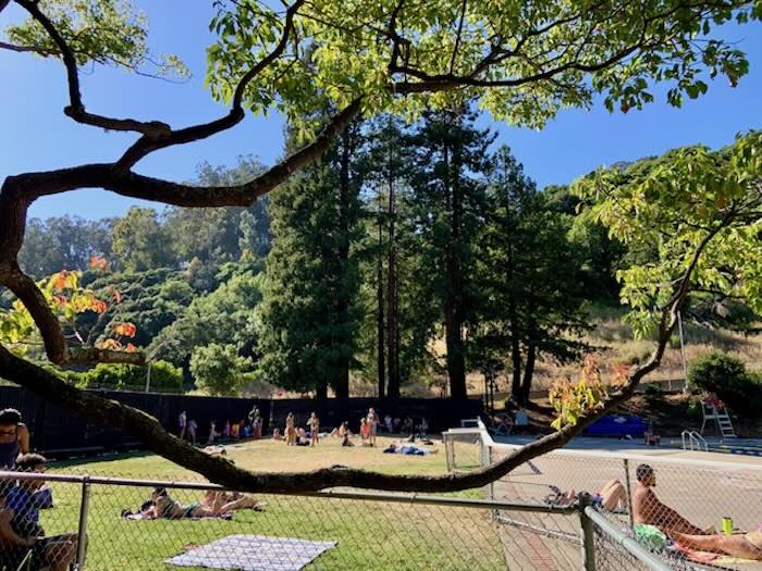 Swim at Strawberry Canyon Pool in the Berkeley Hills - 510 Families